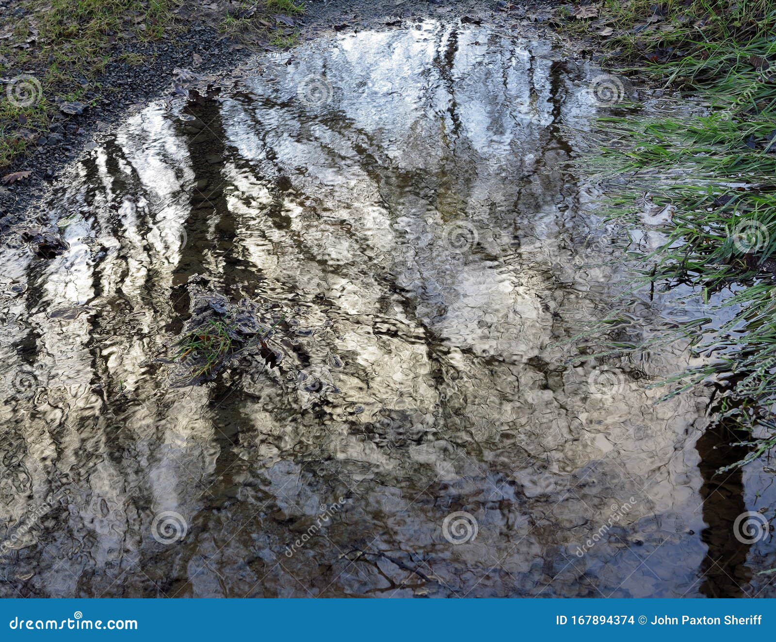 Large Puddle after Heavy Rain. Stock Photo - Image of shiver, puddle ...