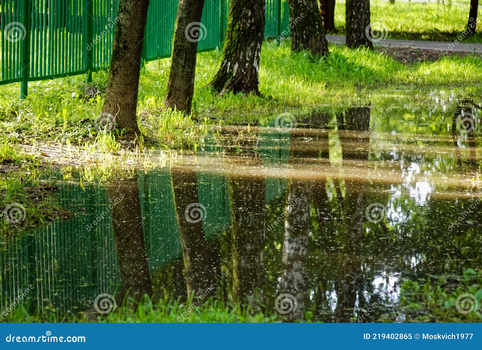 A Large Puddle in the Park Next To the Path Stock Image - Image of ...