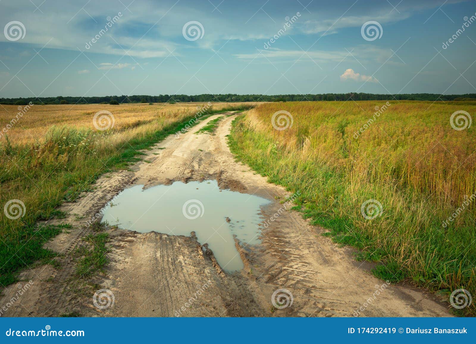 A Large Puddle on a Rural Sandy Road through Fields Stock Image - Image ...
