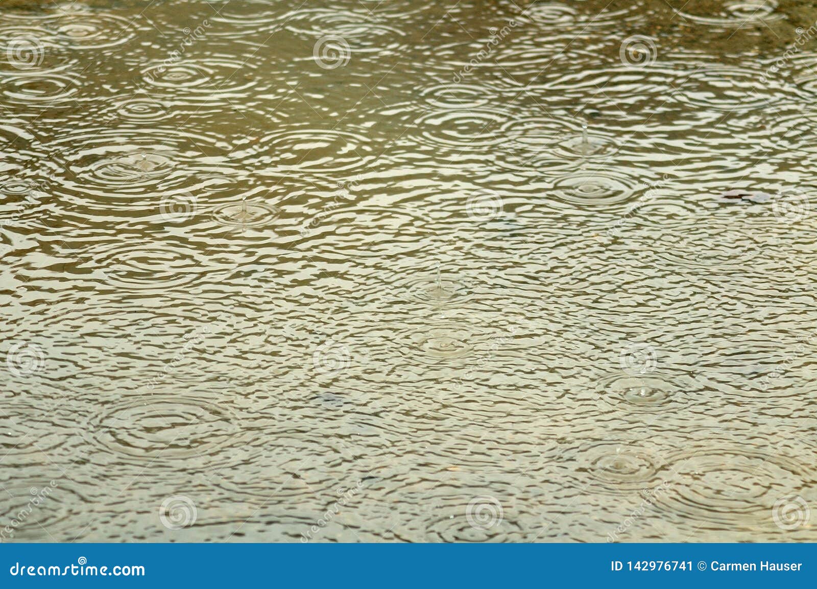 Rain Drops Falling in Puddle on Rainy Day Stock Image - Image of ...