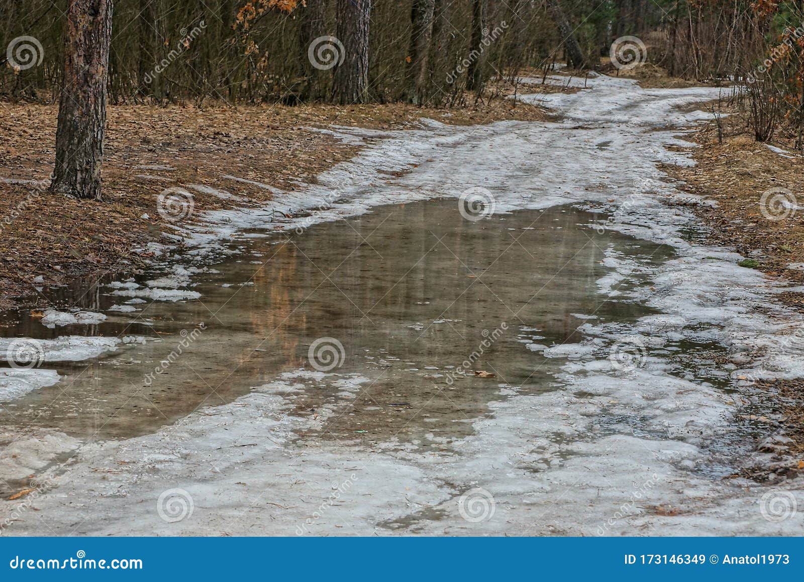 A Large Puddle of Water on White Ice and Snow Stock Image - Image of ...