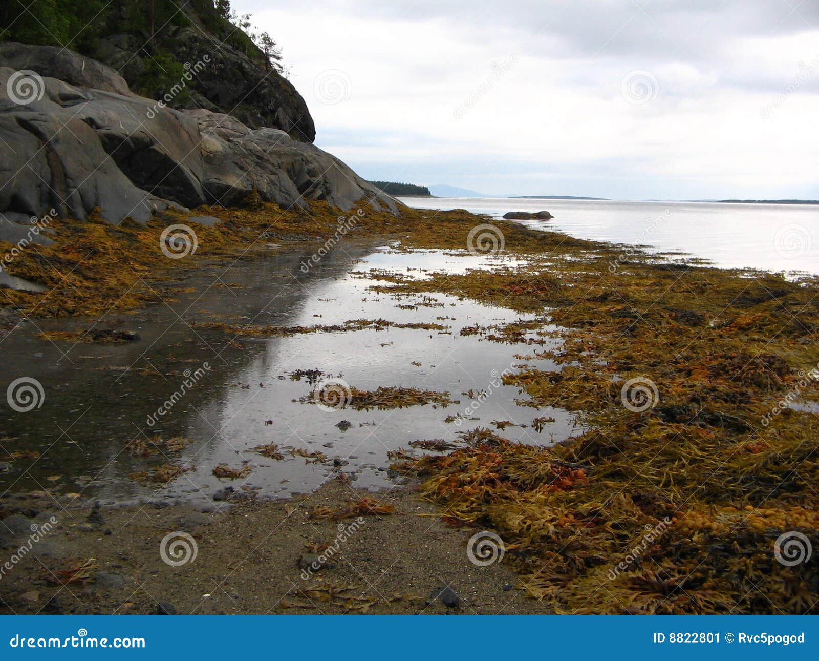A Large Puddle in the Zone of Low. Stock Image - Image of wallpaper ...