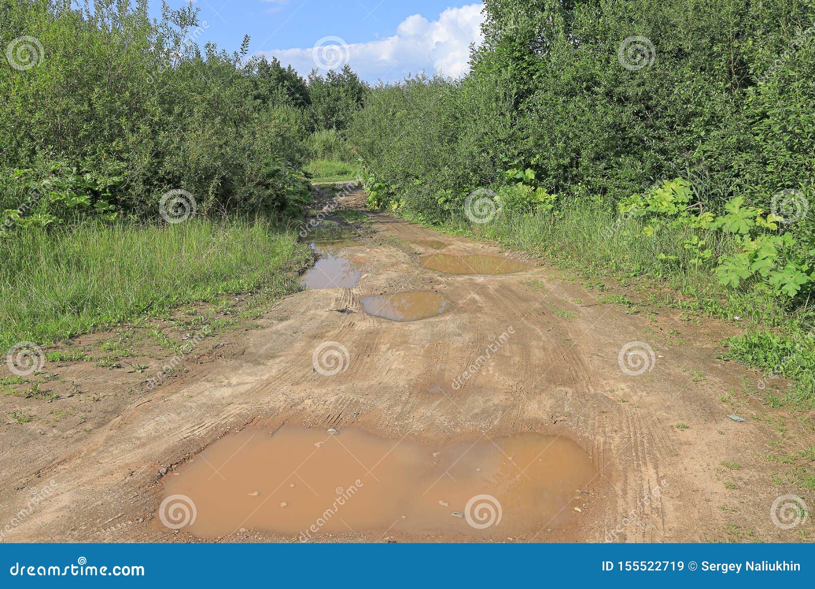 Large Puddles on a Dirt Road Stock Image - Image of country, trees ...