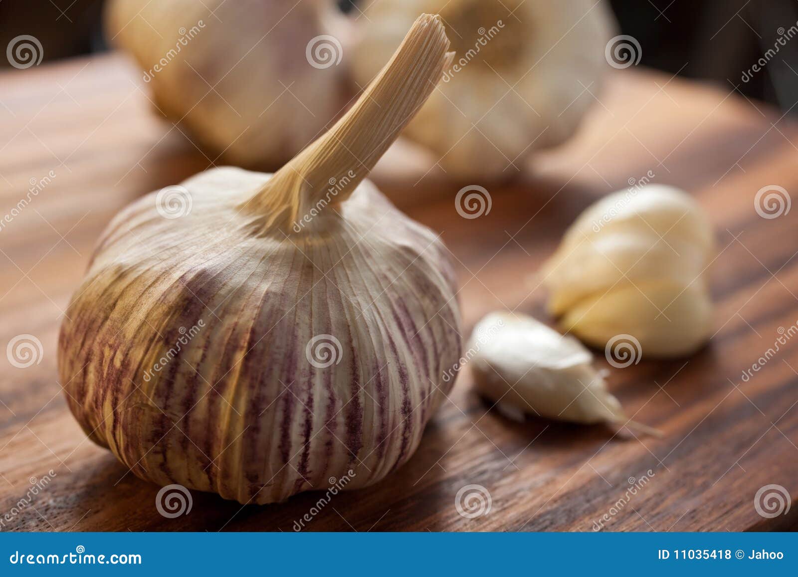 Large purple garlic bulb stock photo. Image of peeled - 11035418