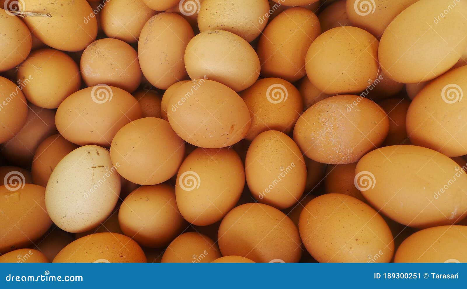 Chicken Egg in Large Quantities Stock Image - Image of farming, group ...