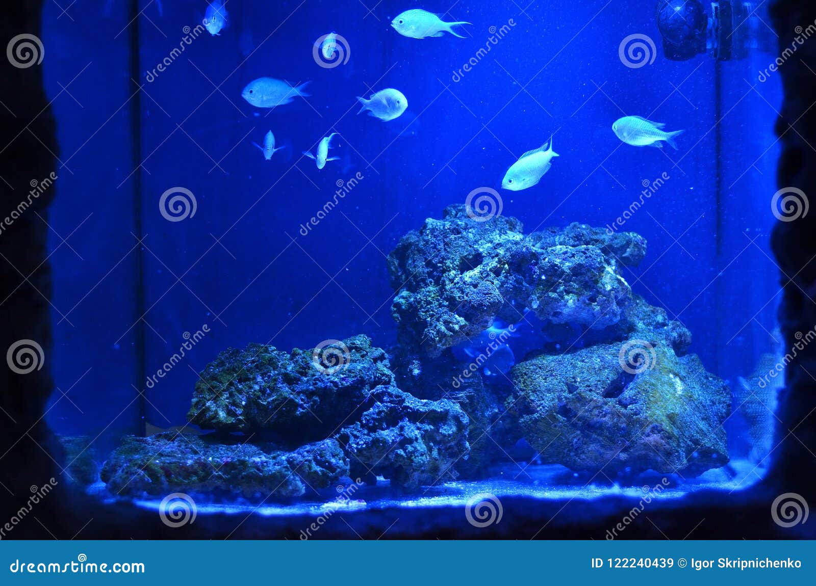 Large Rain Drops on the Background of Construction Stock Image - Image ...
