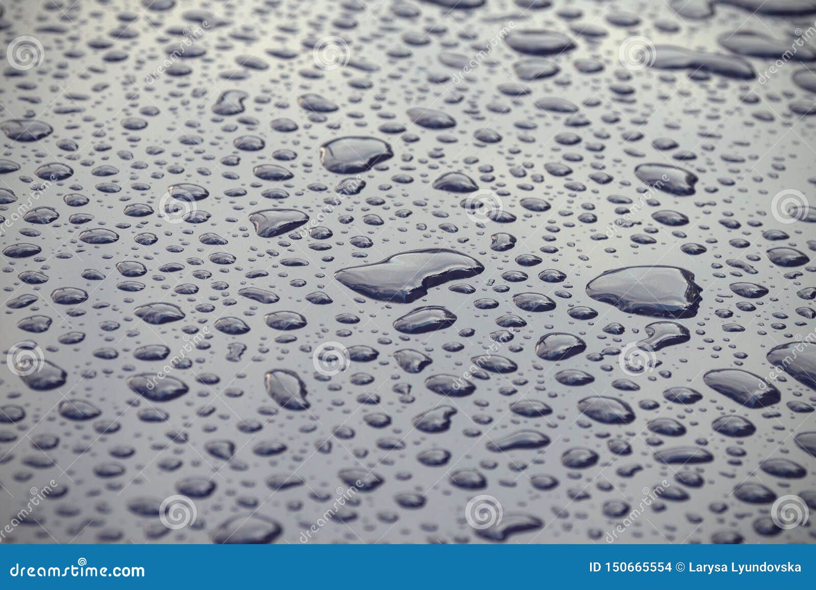 Large Raindrops on a Glossy Black Surface. Texture Stock Photo - Image ...