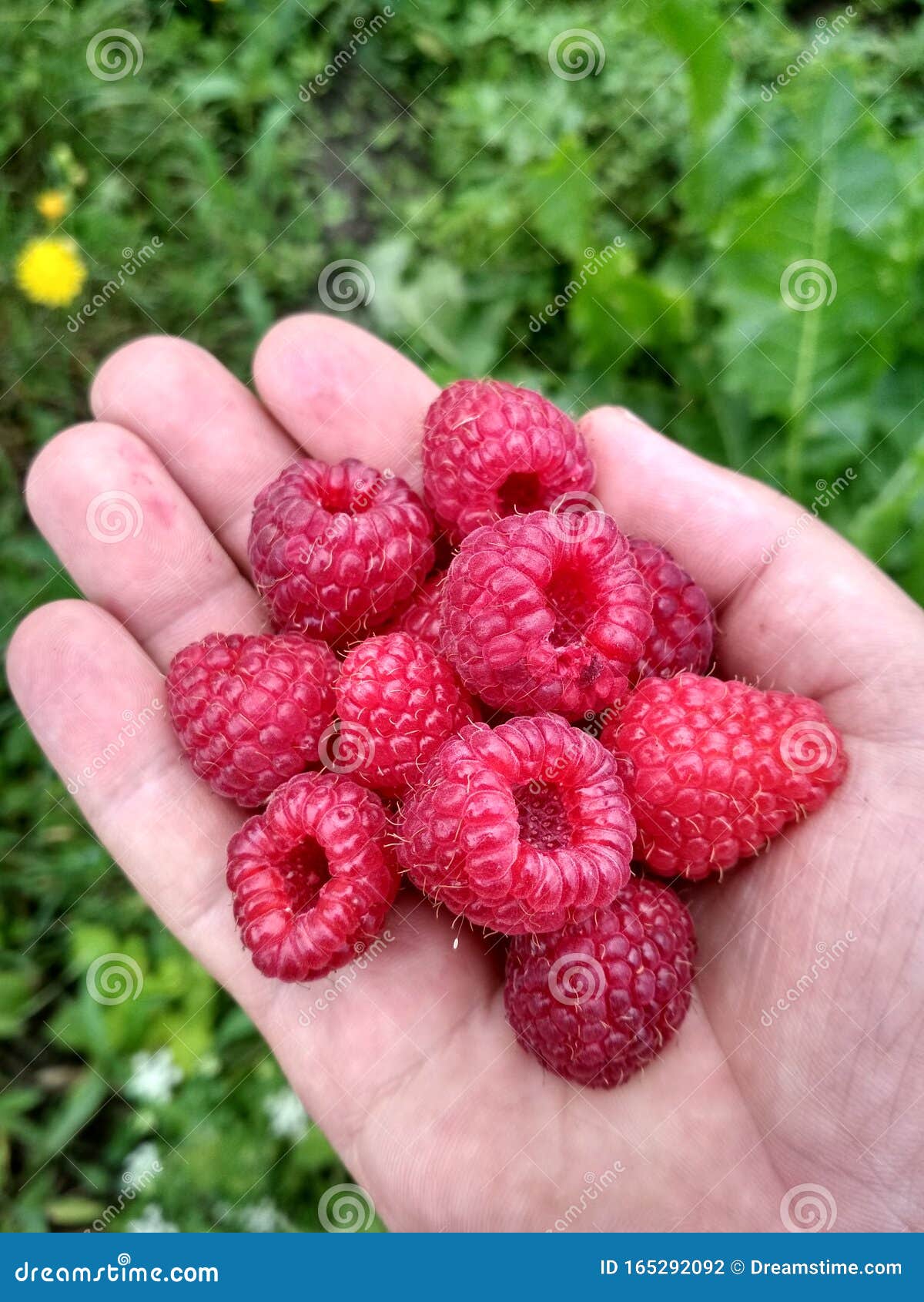 Boy Hand With Vitamin Orange Juice In A Glass Jar On The Background Of ...