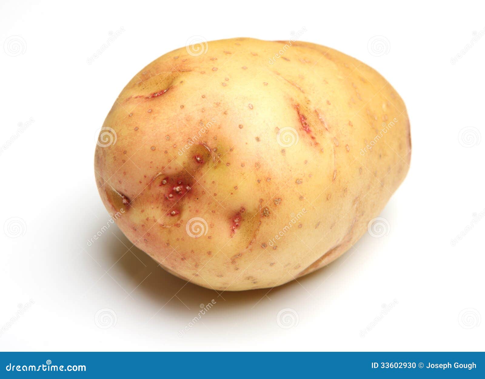 Large Raw Potato Isolated on White Background Stock Photo - Image of ...