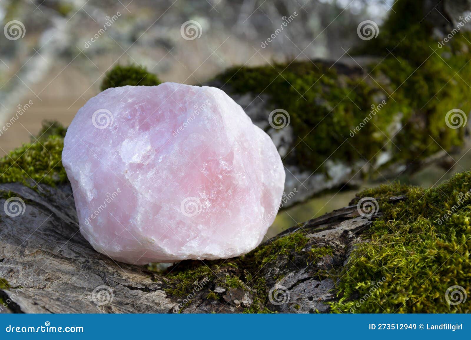 A Large Raw Quartz Crystal and Moss Covered Tree Branch Stock Image ...