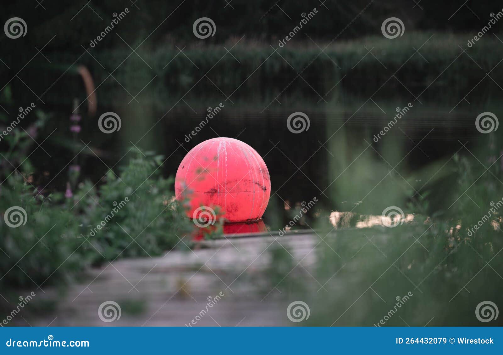 Large Red Ball Floating on a River Surrounded by Grass Stock Image ...