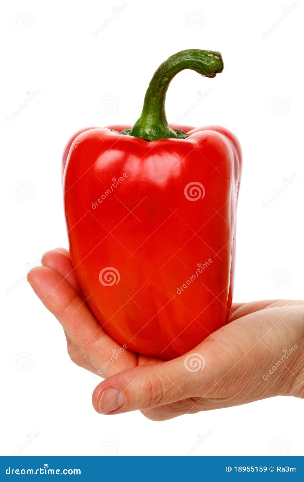 Large red bell pepper stock image. Image of bell, seeds - 18955159