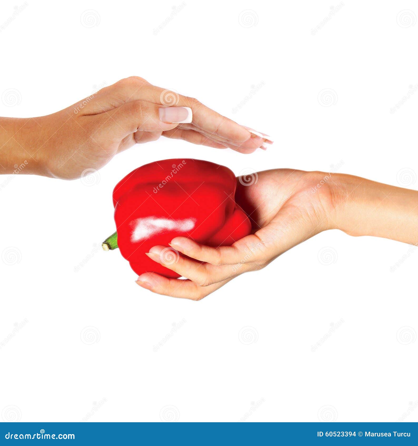 Large Red Bell Pepper in a Human Hand Stock Photo - Image of food ...
