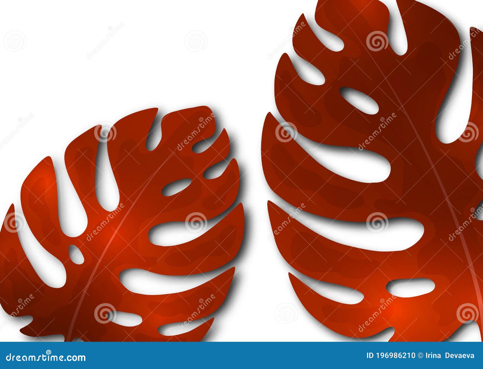 Large Red Monstera Leaves on a White Background. Creative Template for ...