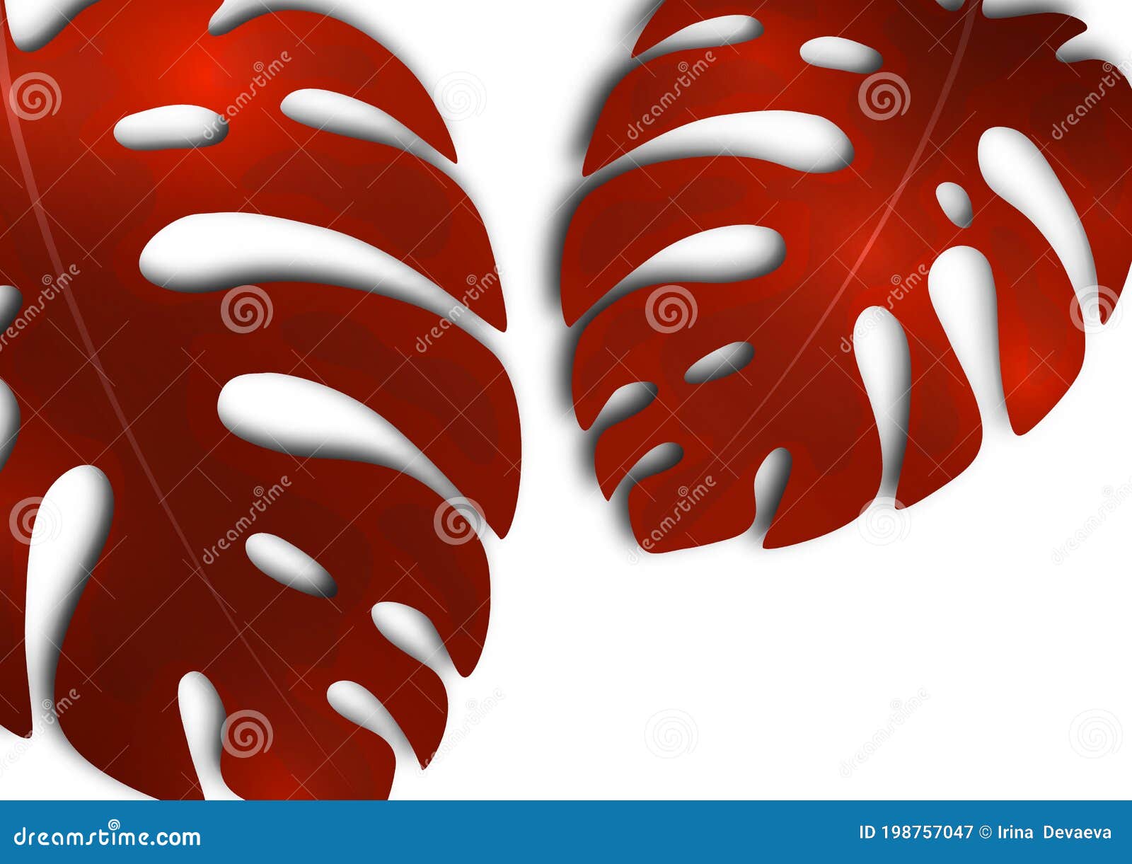 Large Red Monstera Leaves on a White Background. Creative Template for ...