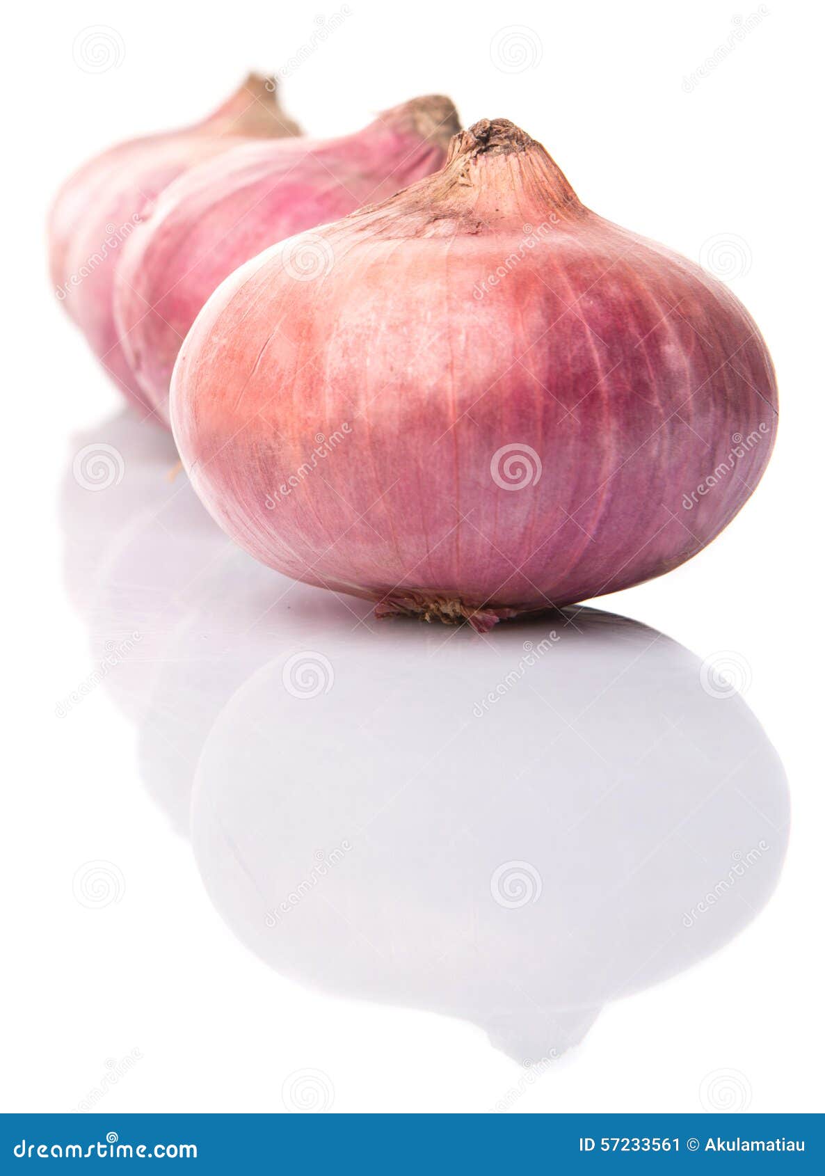 Large Red Onion II stock image. Image of organic, seed - 57233561