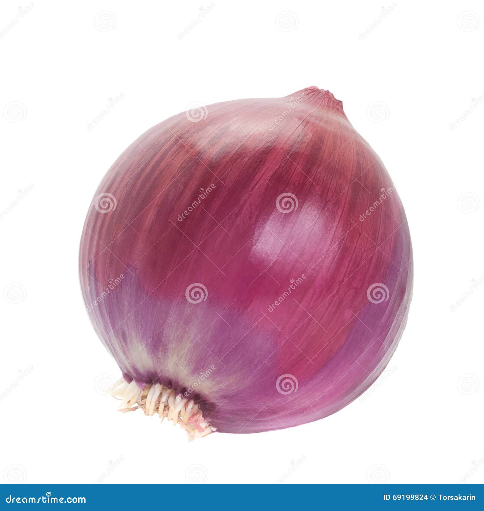 Large red onion isolated stock photo. Image of vitamin - 69199824