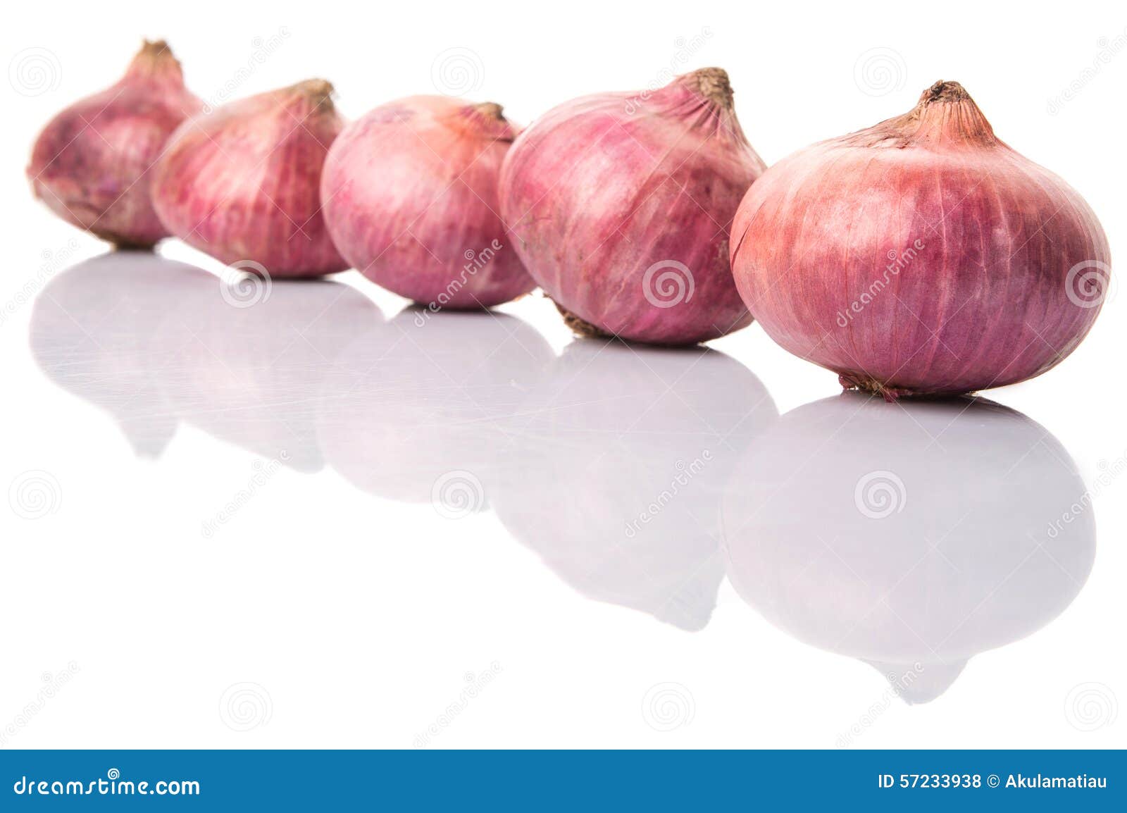 Large Red Onion VII stock photo. Image of seed, root - 57233938