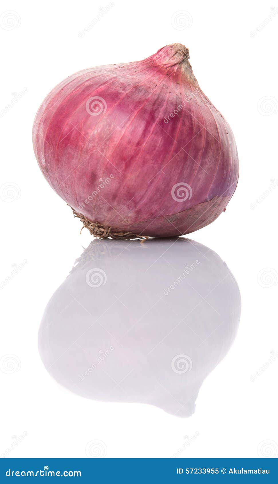 Large Red Onion VIII stock image. Image of tuber, bulb - 57233955