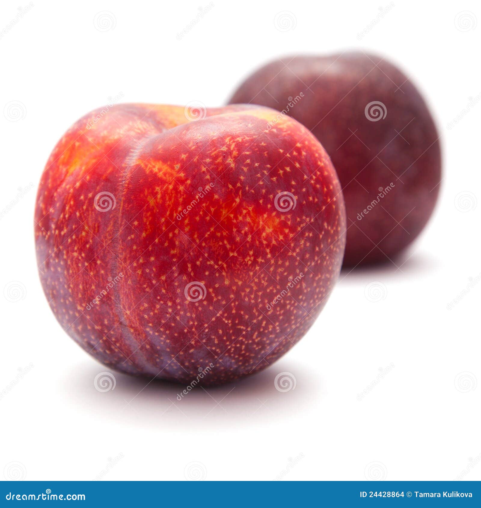 Large red plums stock photo. Image of five, nutrients - 24428864
