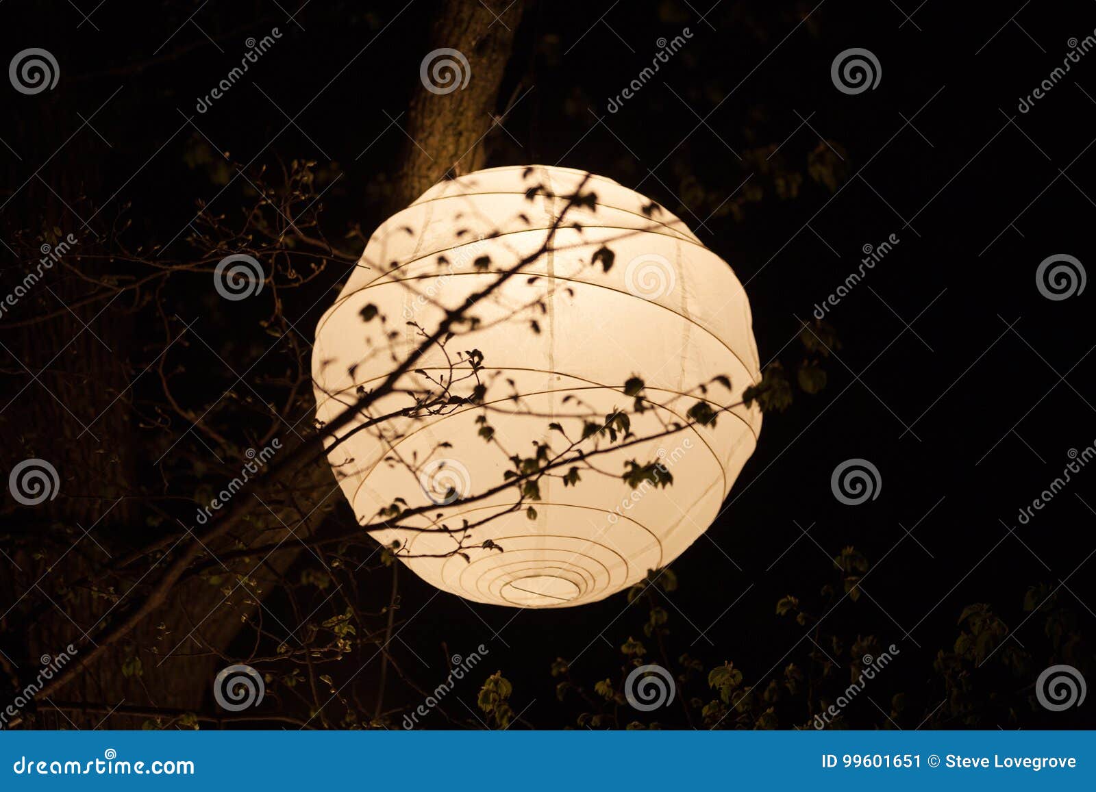 Rice Paper Lantern stock image. Image of outdoors, tree - 99601651