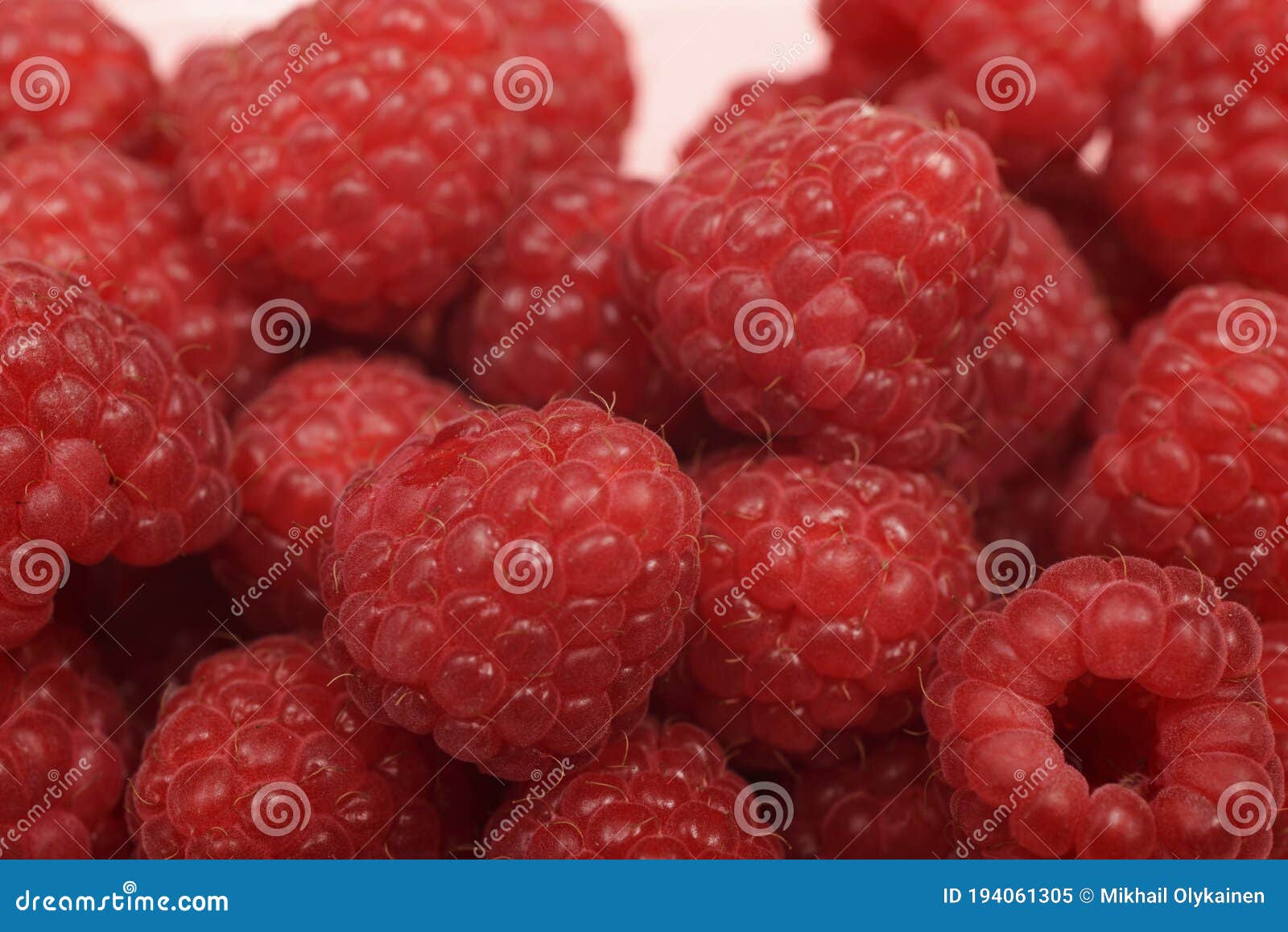 Large ripe fresh raspberry stock image. Image of natural - 194061305