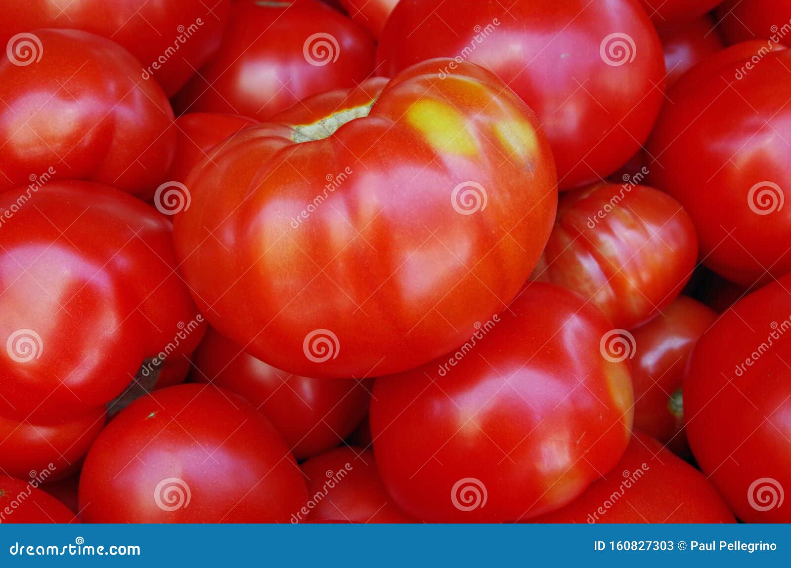 Large Ripe Tomatoes Closeup Stock Image - Image of ingredient, summer ...