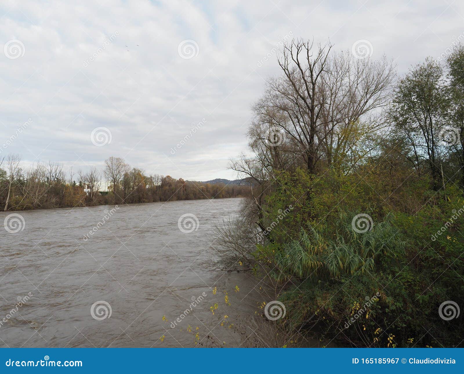 Large river flood stock image. Image of panorama, flood - 165185967