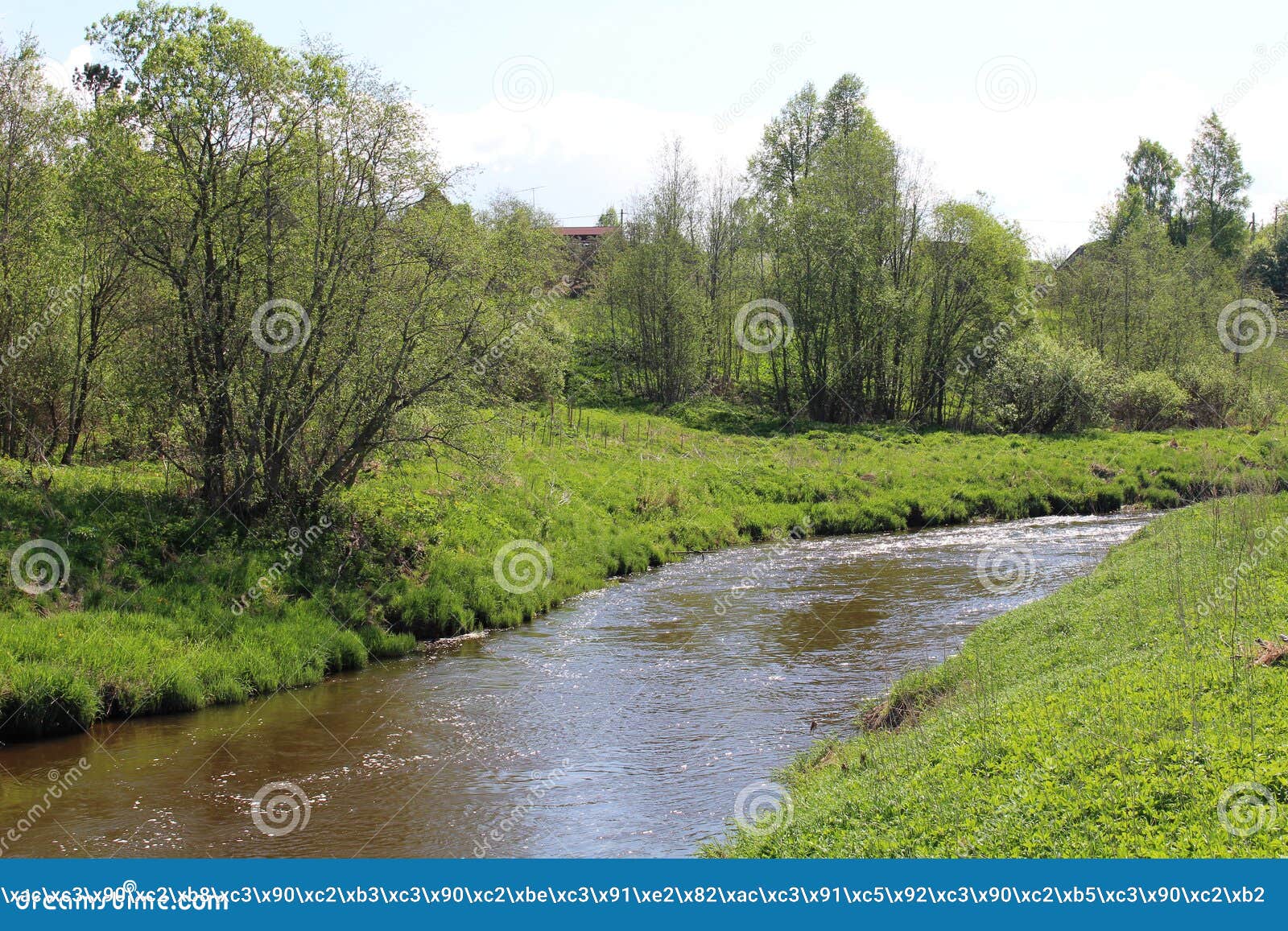 River and field two stock image. Image of lake, seascape - 116967543
