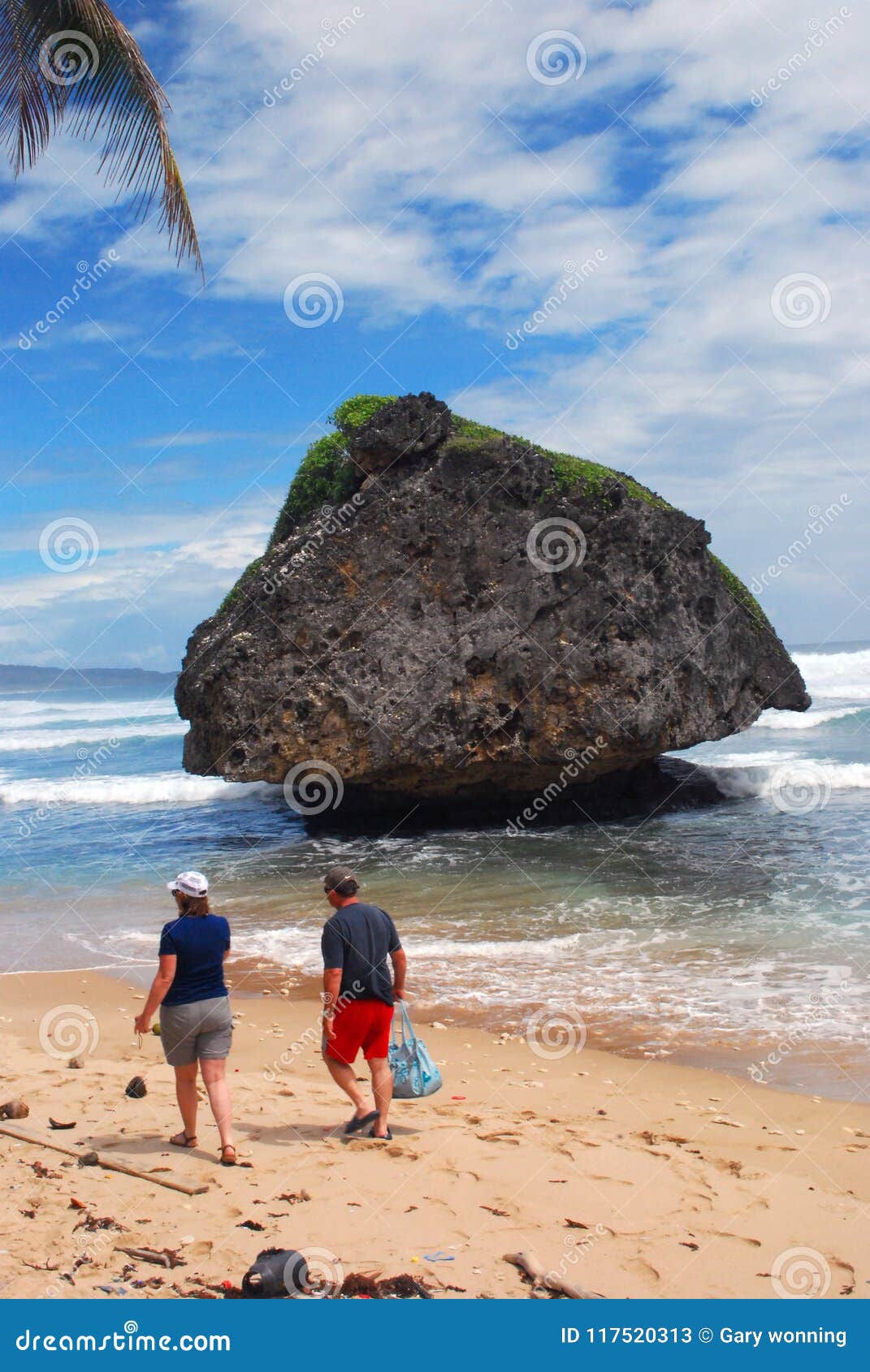 Large boulder on the beach editorial stock photo. Image of tropical ...