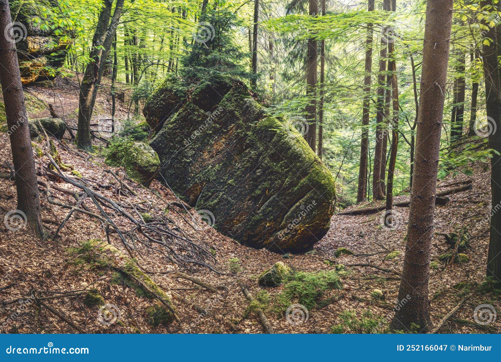 Large rock in the forest stock image. Image of nature - 252166047
