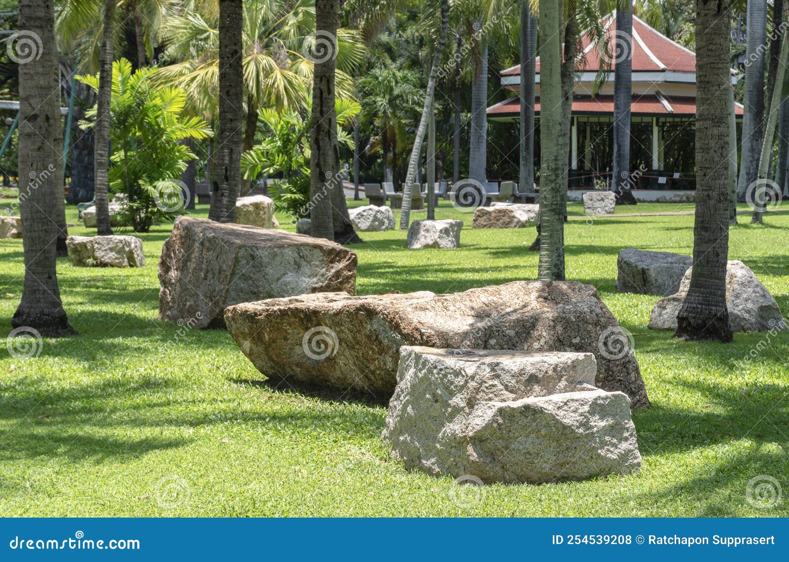 Large Rock with Grass Field in Park Stock Photo - Image of comfort ...