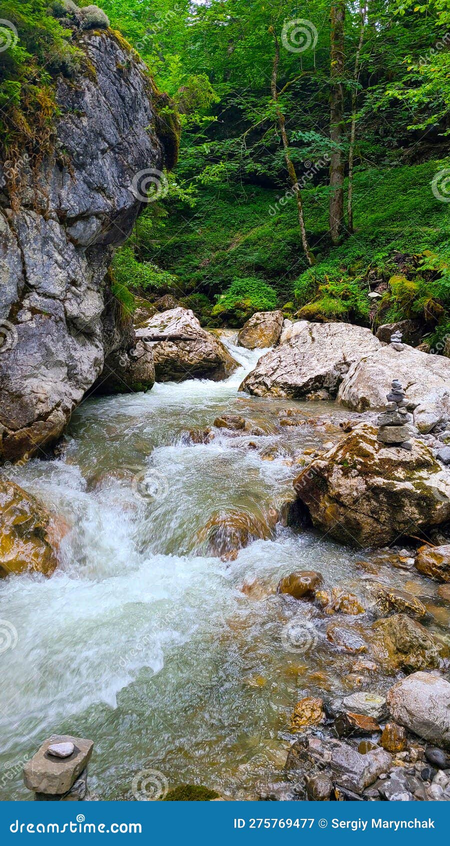 A Rock Overhangs a Mountain Stream in a Canyon Against a Forest ...