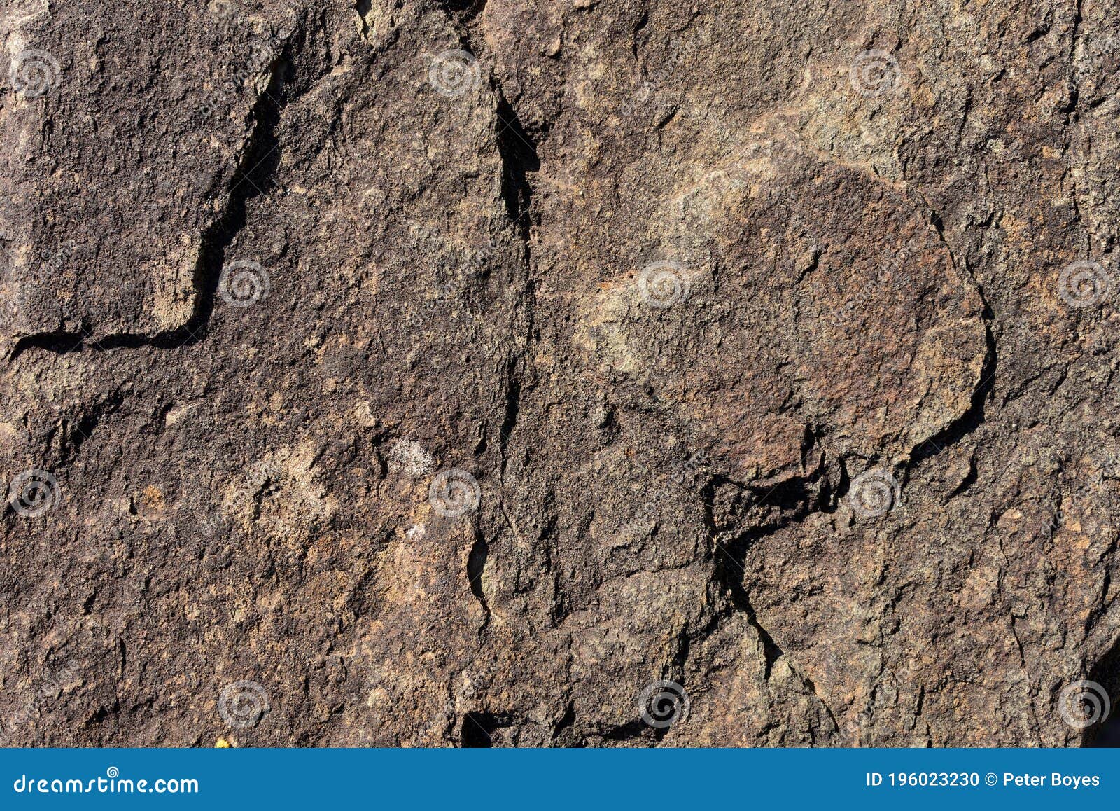 Large Rock Pattern Good for a Contrasting Textured Background Surface ...