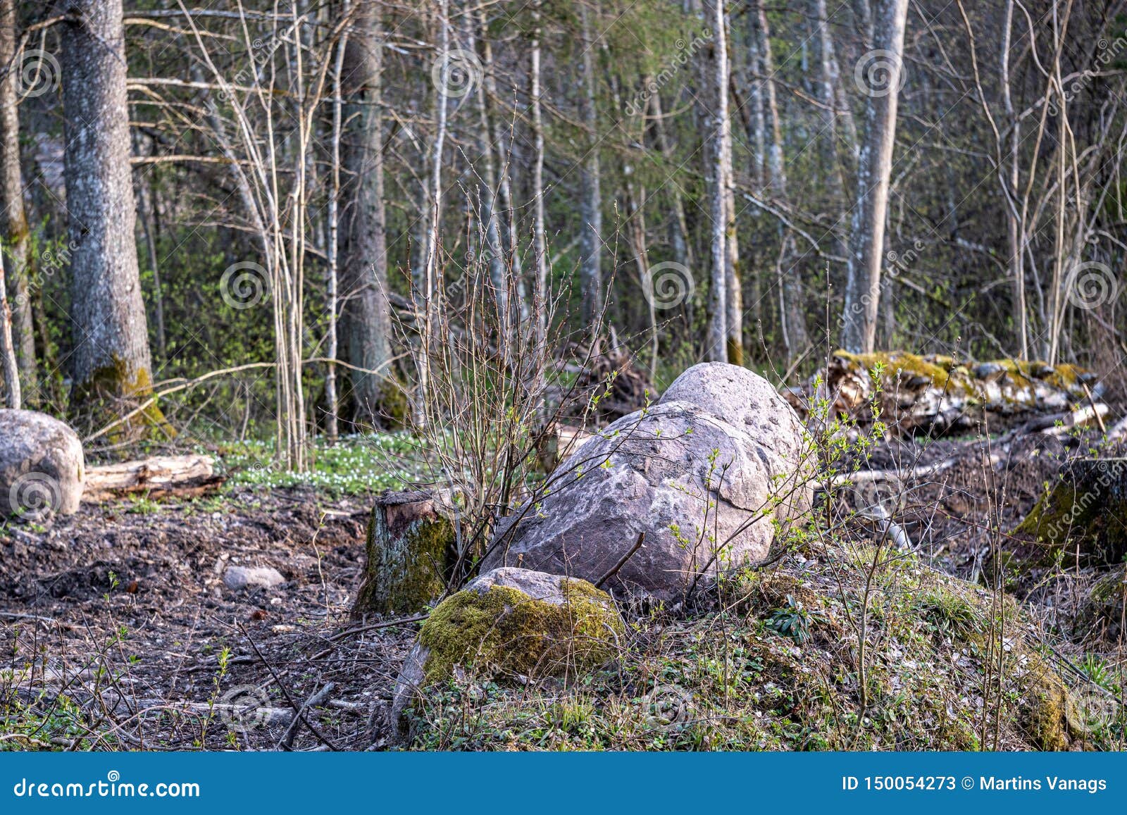 Large Rock in Sand in Countryside Stock Image - Image of large, sand ...