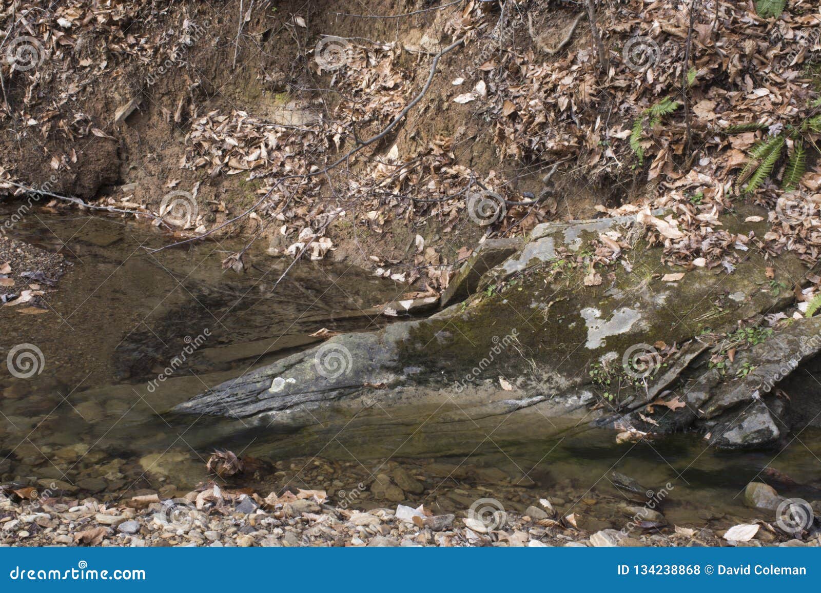 Large rock in small creek stock photo. Image of stream - 134238868