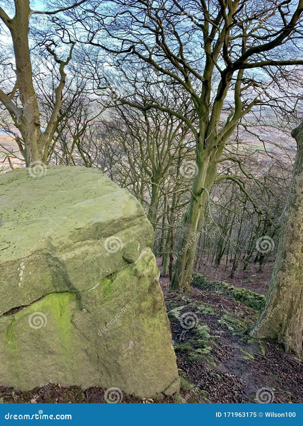 Rock stack in the woods stock image. Image of woodland - 171963175