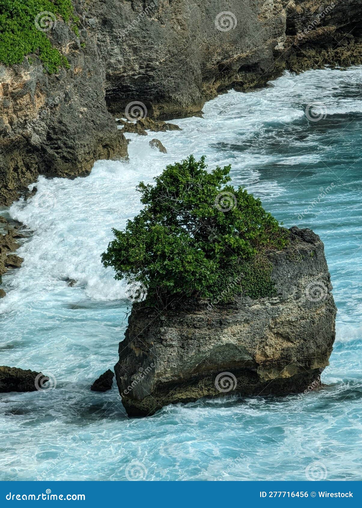 Large Rock in the Water with a Small Tree Growing on the Top Stock ...