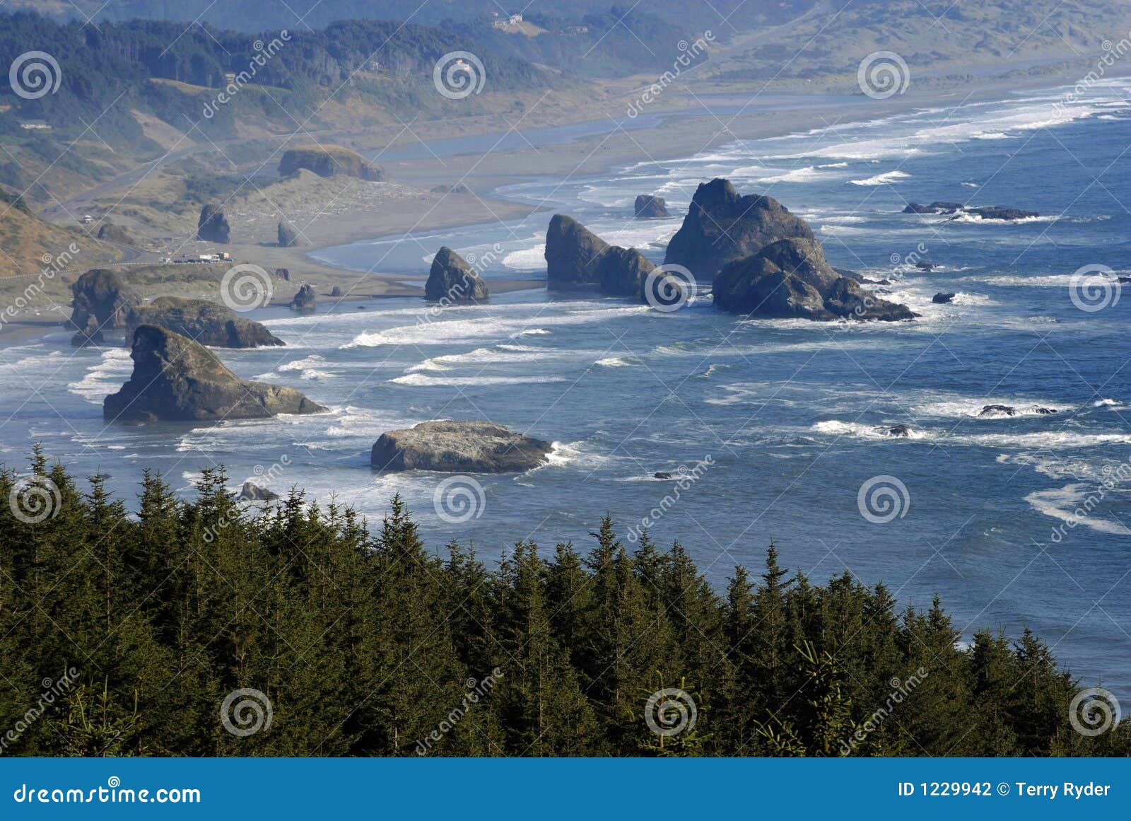 Large Rocks Along The Oregon Coast Stock Photography - Image: 1229942