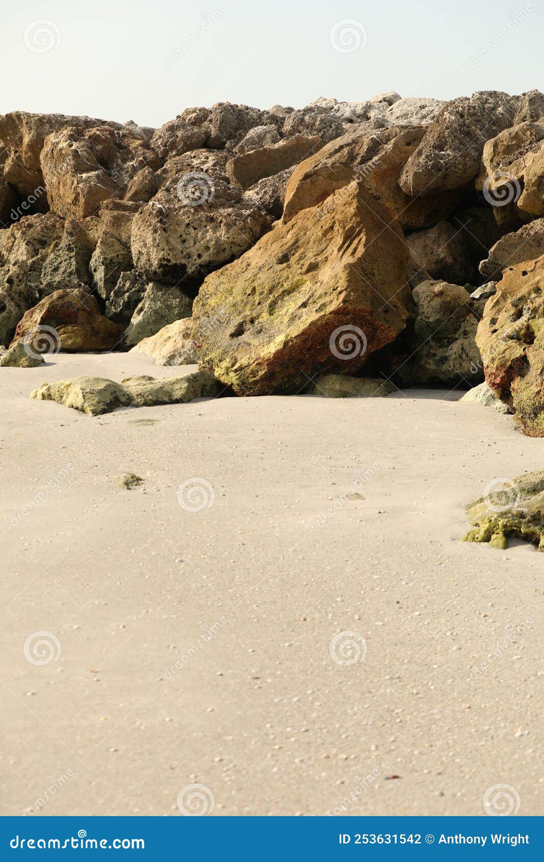 Large rocks on the beach stock photo. Image of large - 253631542