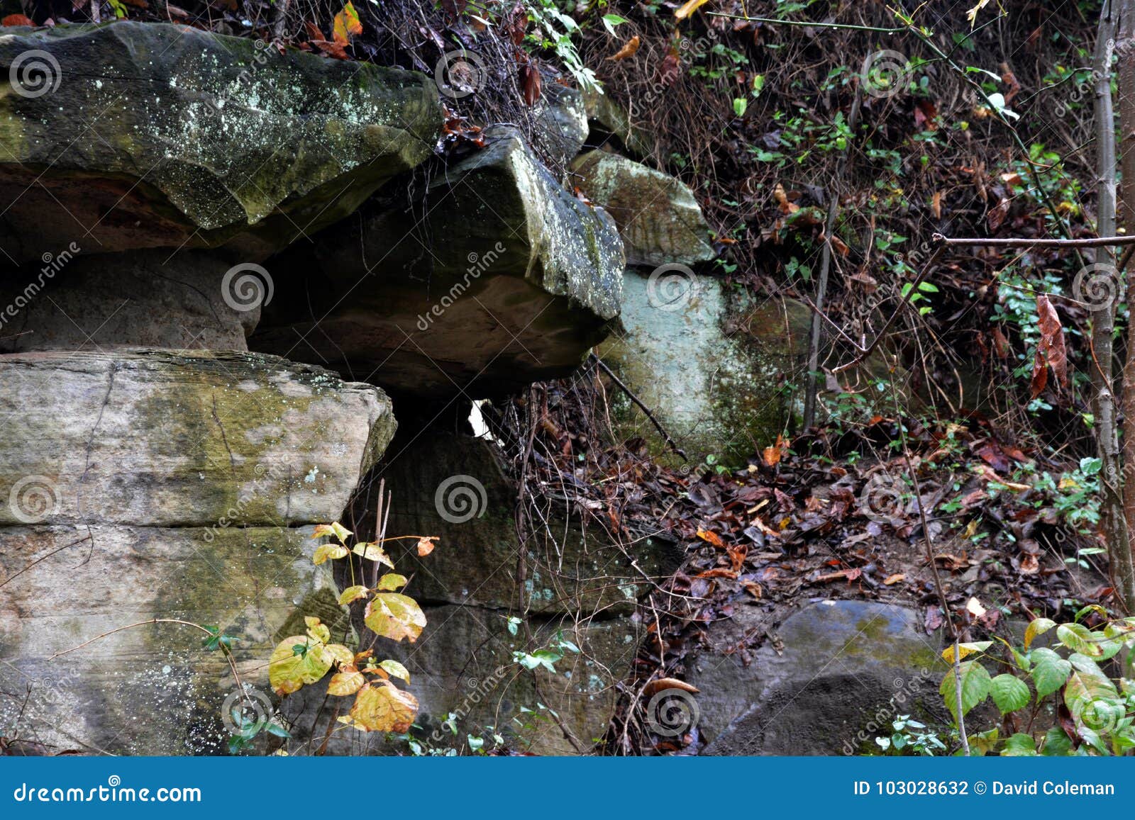 Large Rocks, Top View In Swamps, Attractions, Region For Natural Formed ...