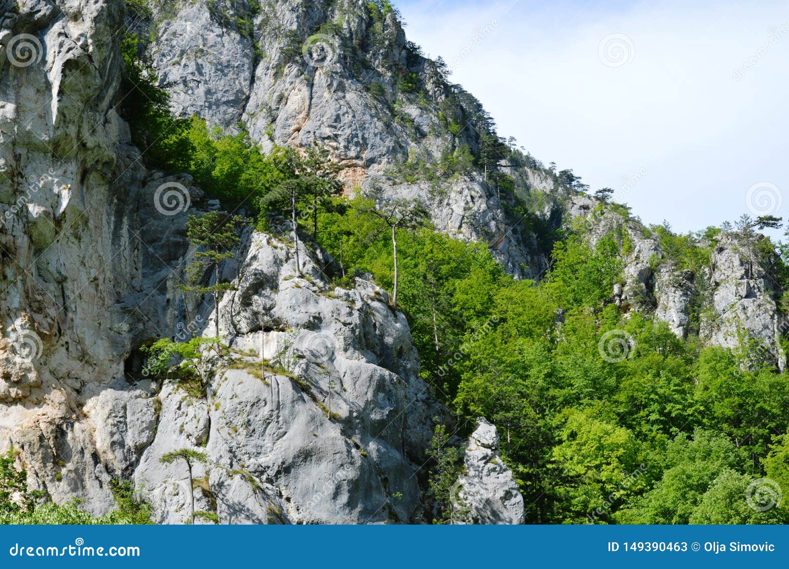 Large Rocks and Trees on Them Stock Image - Image of water, rocks ...