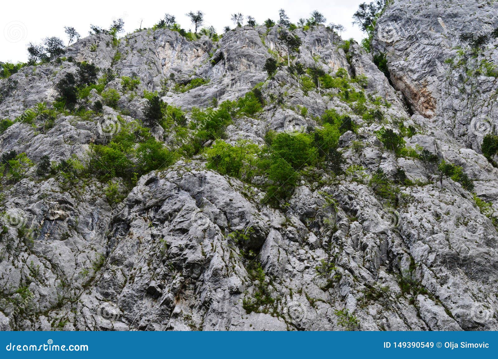 Large Rocks and Trees on Them Stock Image - Image of tree, plant: 149390549
