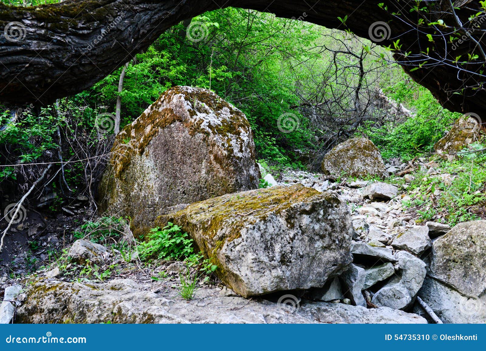 Large rocks in the woods stock photo. Image of large - 54735310