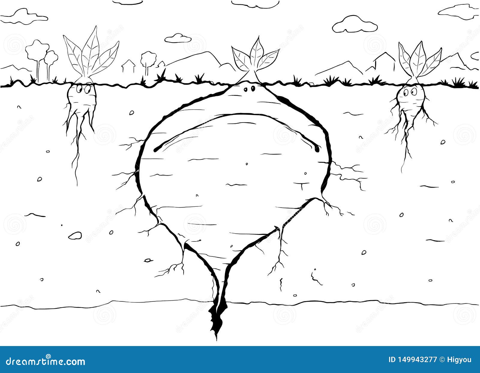 Large Root Vegetable Line Drawing Stock Vector - Illustration of large ...