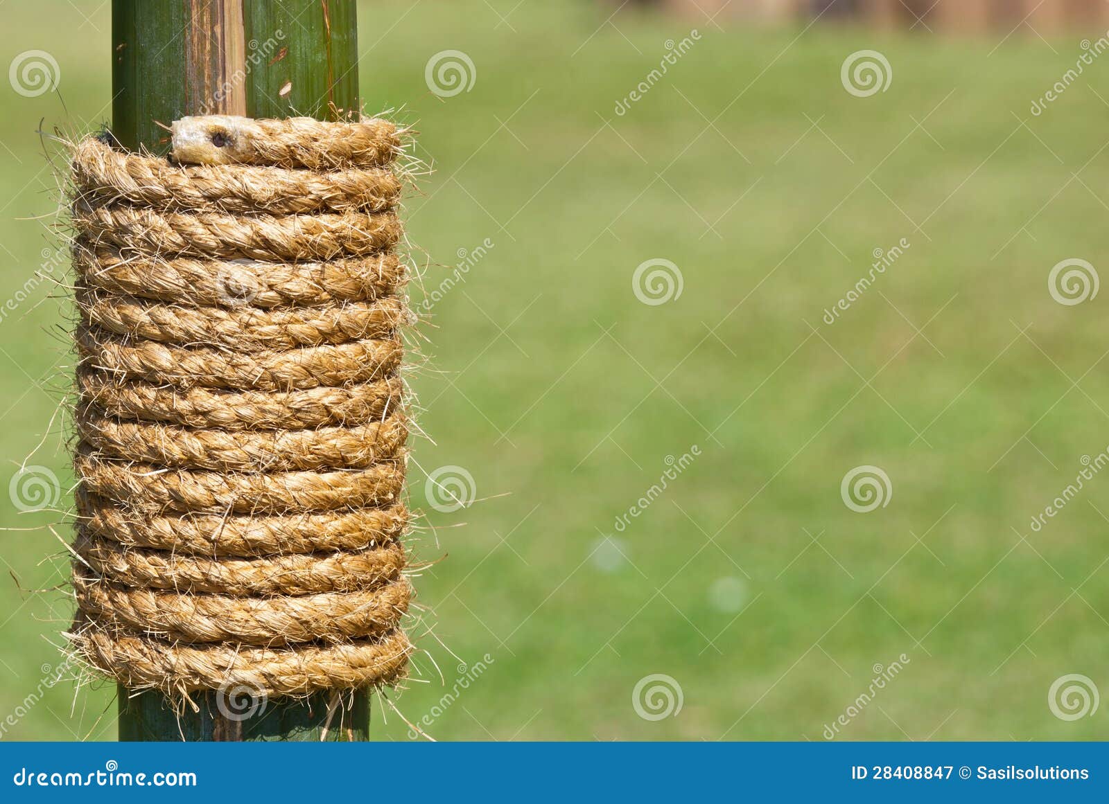 Large Rope on Bamboo Tree with Green Grass Stock Image - Image of ...