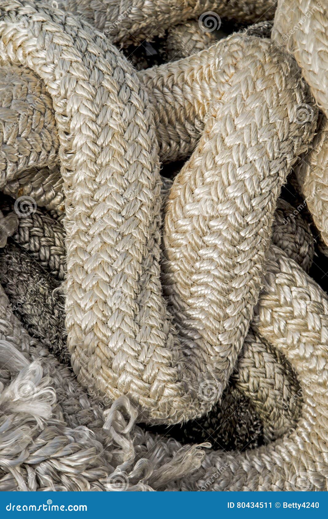 102 Coiled Patterns Stock Photos - Free & Royalty-Free Stock Photos ...