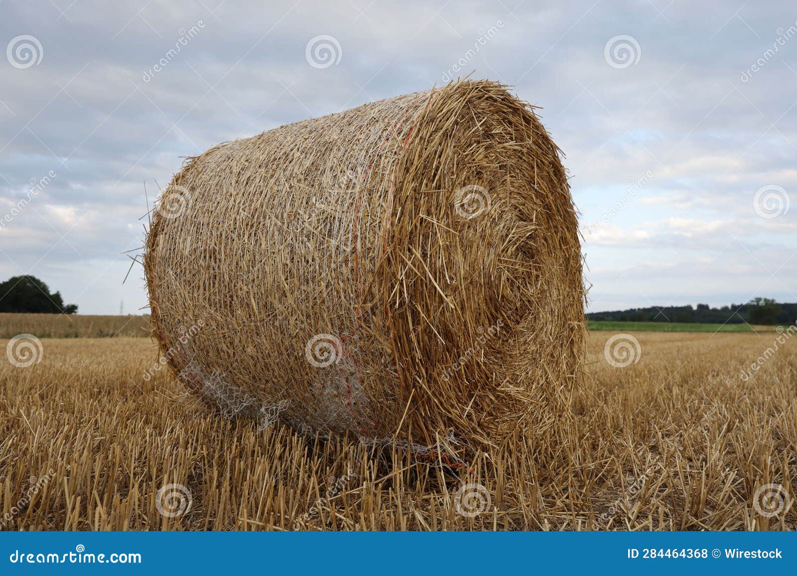 Large, Round Hay Bale Standing in a Dry Field Stock Photo - Image of ...