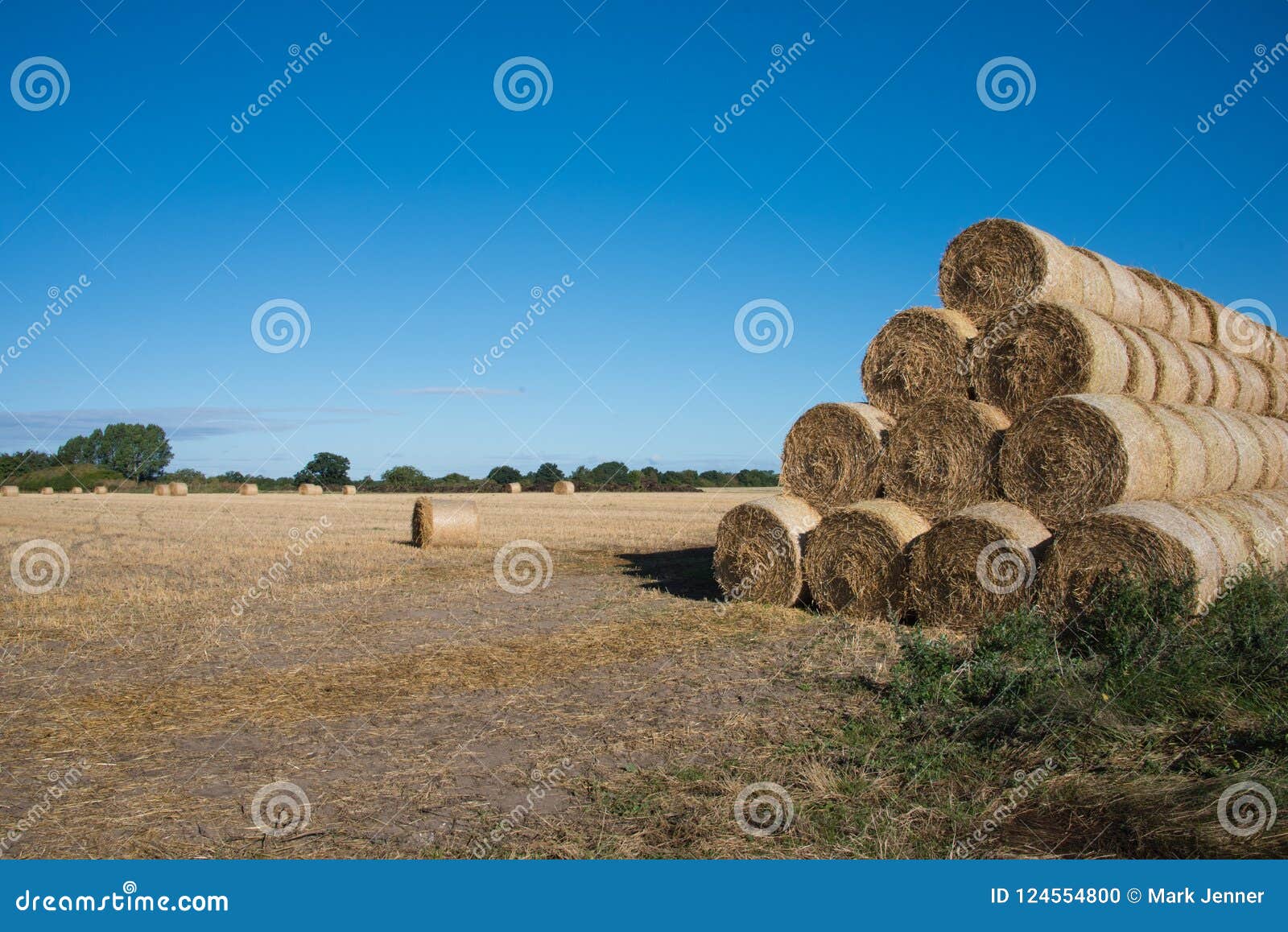 Large Round Hay Bales Stacked in the Field after Harvesting the Stock ...