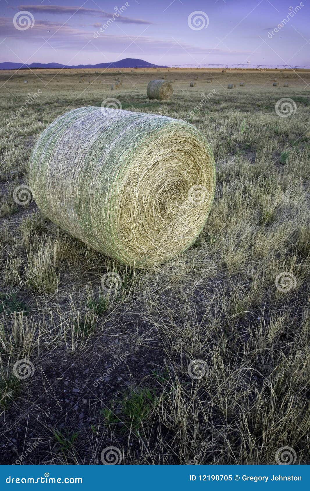Large Round Hay Bundle in a Field. Stock Image - Image of country, crop ...